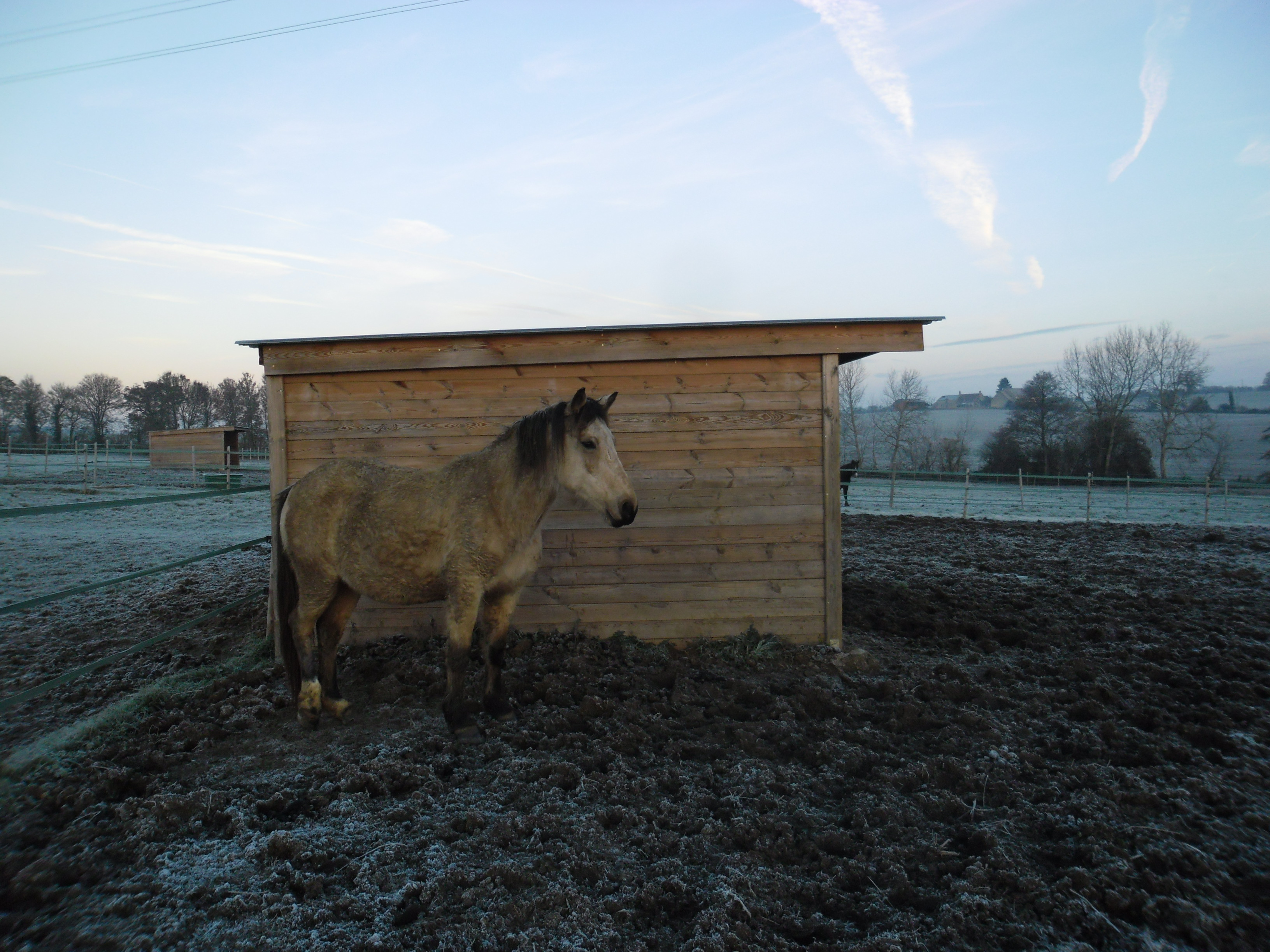 Abris-box-chevaux.ch: Le spécialiste des boxes et abris pour chevaux ...